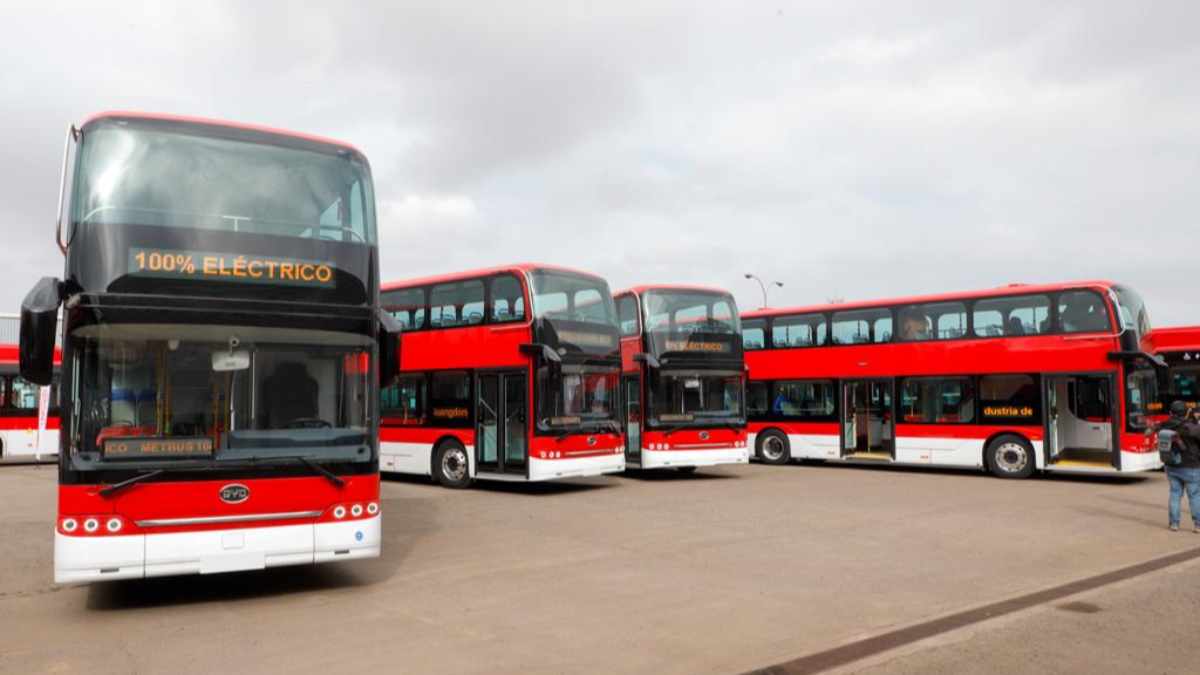 Chile suma 300 nuevos buses eléctricos a su flota de transporte público ...