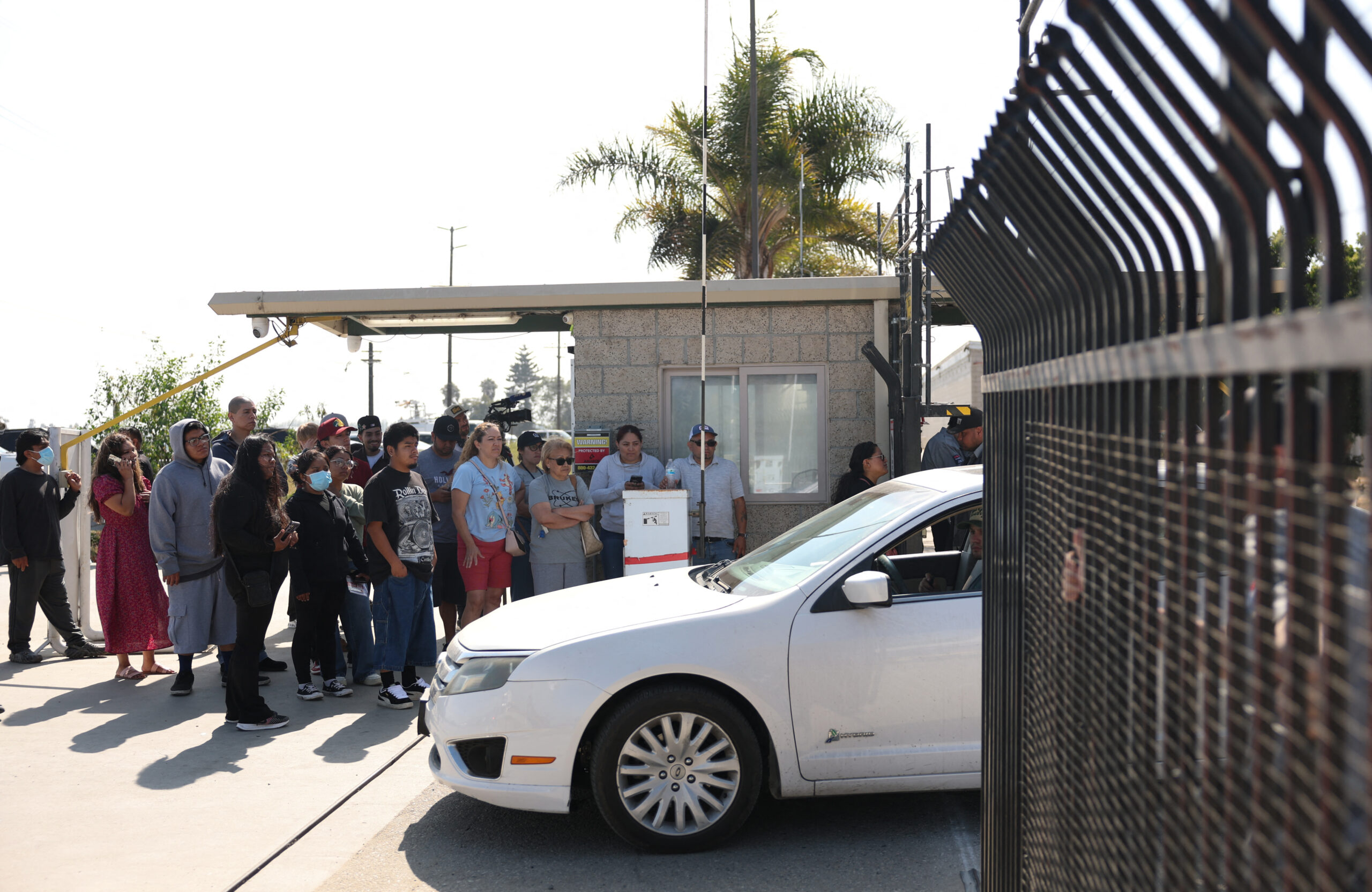 Masiva redada migratoria en granja de cannabis en California 361 ...