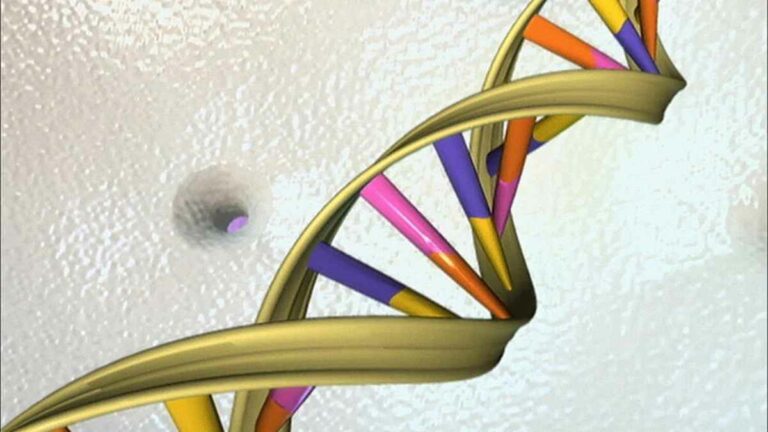 AlphaGenome: la nueva herramienta de Google para entender el genoma ...