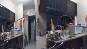 Hombre roba un celular con una trapa de pegamento para rata - Mediatiko